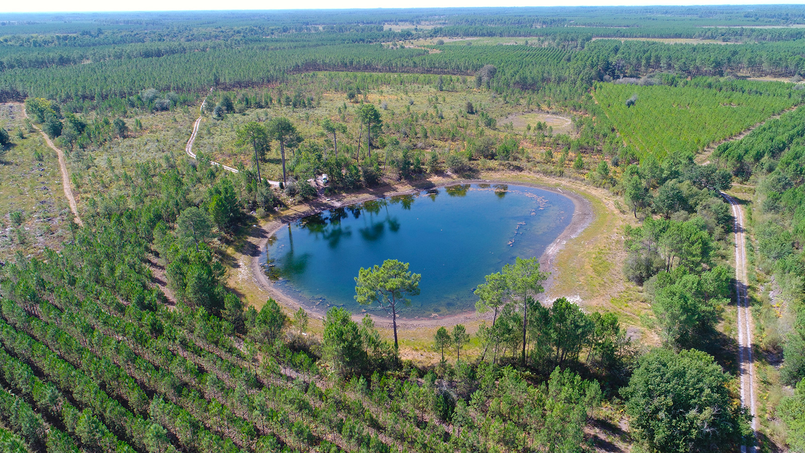 Parc naturel régional des Landes de Gascogne - Nature Reserve in Sabres ...