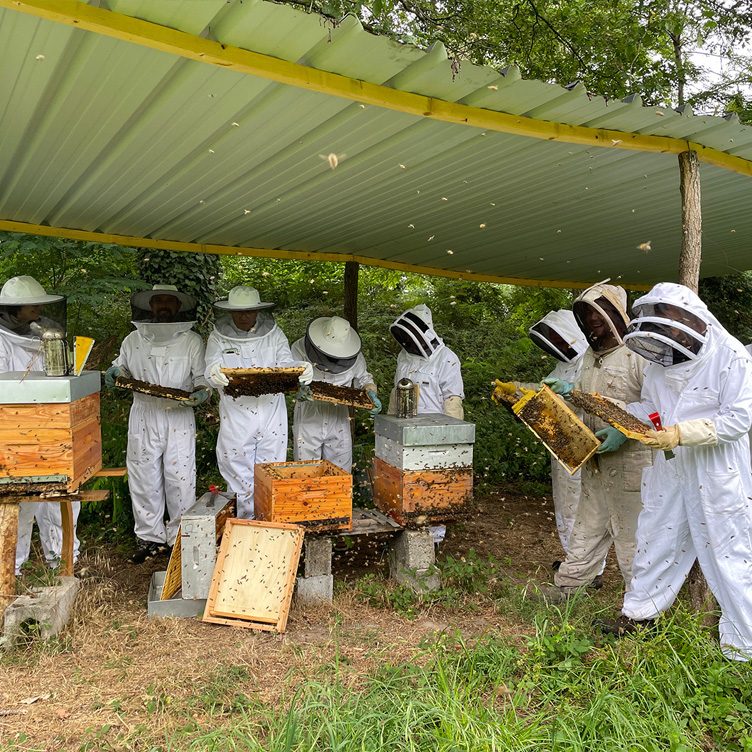 Tourisme - Vacances - Séjours - Visites - Activités dans les Landes ...