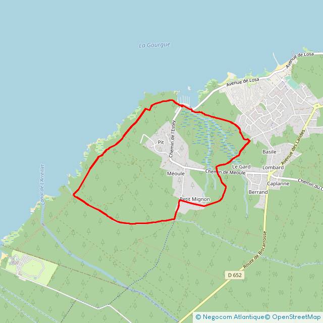 Sanguinet - Circuit entre étang et forêt - Guide des Landes