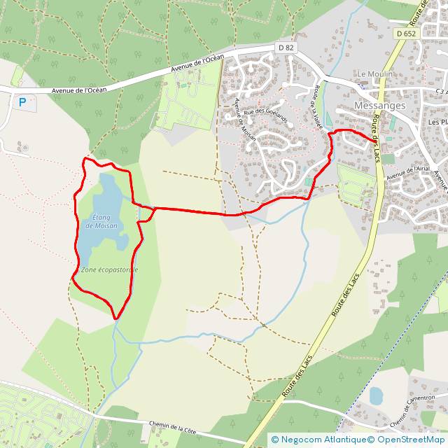 A Messanges, circuit de l'étang de Moïsan - Guide des Landes