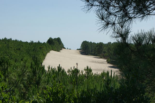 Les Landes, Tourisme & Vacances Dans Les Landes - Visiter Les Landes