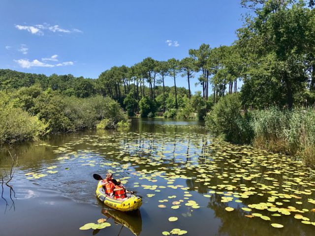 Landes North coast, Landes de Gascogne Regional Natural Park - Guide ...